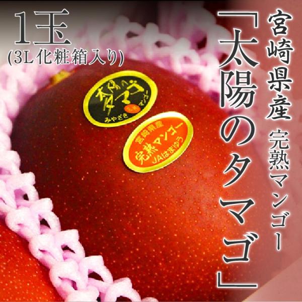 生産量1位の宮崎県が自身を持って出荷している「完熟マンゴー」 「完熟」にこだわり、樹上で熟した果実が自然に落下したものだけをネット袋でキャッチし収穫します。 その完熟マンゴーの出荷基準をさらに徹底し厳しい基準をクリアした商品が「太陽のタマゴ...