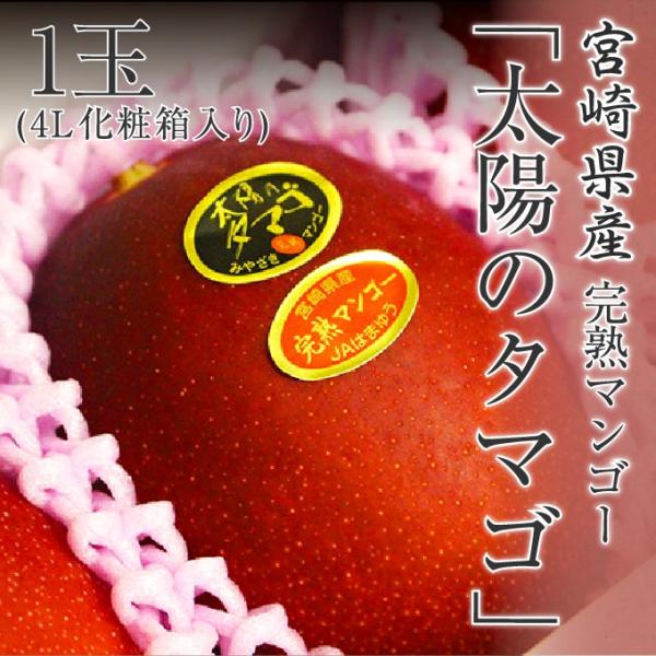 生産量1位の宮崎県が自身を持って出荷している「完熟マンゴー」 「完熟」にこだわり、樹上で熟した果実が自然に落下したものだけをネット袋でキャッチし収穫します。 その完熟マンゴーの出荷基準をさらに徹底し厳しい基準をクリアした商品が「太陽のタマゴ...