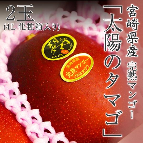 生産量1位の宮崎県が自身を持って出荷している「完熟マンゴー」 「完熟」にこだわり、樹上で熟した果実が自然に落下したものだけをネット袋でキャッチし収穫します。 その完熟マンゴーの出荷基準をさらに徹底し厳しい基準をクリアした商品が「太陽のタマゴ...