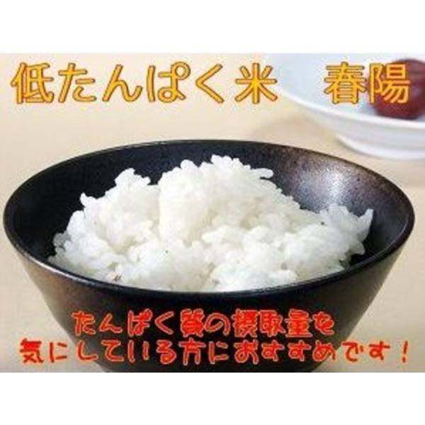 R7年産 宮城県登米産 春陽（しゅんよう）『春陽』は普通のお米（コシヒカリ等）に比べ、易消化性タンパク質の割合が低くタンパク質が身体に吸収されにくいという特徴があります。【特Ａ】日本農業大賞受賞地区　宮城県登米市から農家直送、精米したてでで...