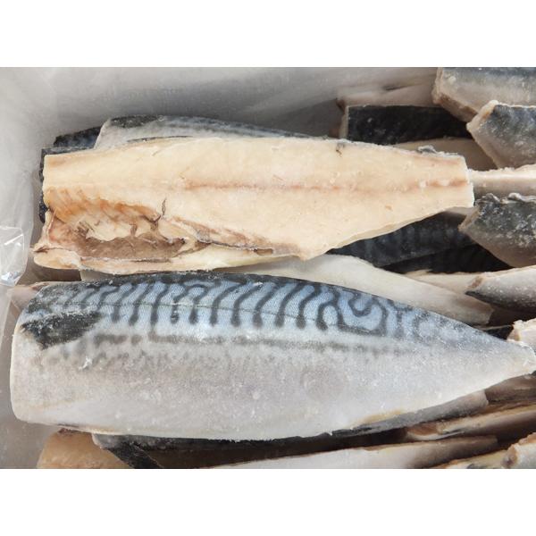 塩さばフィーレ４０枚　５ｋｇ業務用食堂の人気メニュー、遂に登場！！センターカットで腹骨ありますが、さほど気になりません。脂が乗る９月・１０月に漁獲された原料のみを使用し、甘塩味に仕上げました。内容量  ５ｋｇ　４０枚原材料  ノルウェー産　...