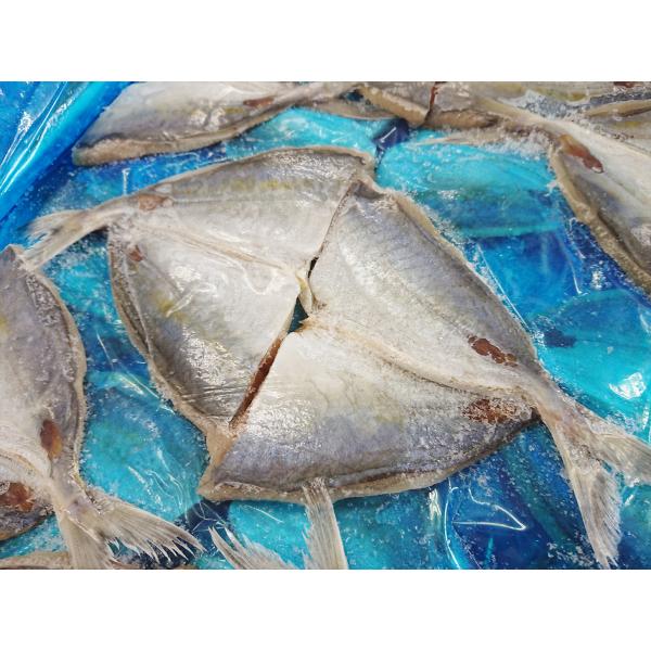 あじ開き４ｋｇ　７０尾業務用大きさは約１０ｃｍ程度でお弁当などにピッタリです。フライや天ぷらでお召し上がりください。内容量  ４ｋｇ（７０尾）原材料  メアジ（ベトナム・タイ産など）賞味期限  約３ヶ月（−１８度以下）発送方法  冷凍便注意...