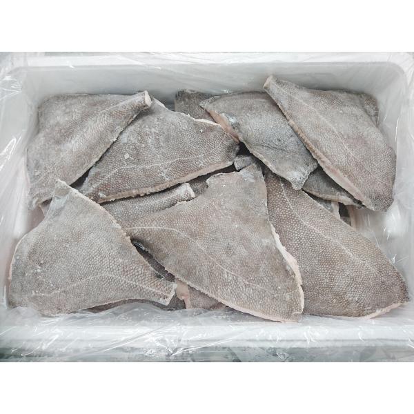 まとうだいは、白身で美味しいお魚です。塩焼き、煮付け、ムニエルでどうぞ♪価格高騰中のつぼ鯛の代替品としていかがでしょうか？焼き・煮付けにどうぞ内容量  ５ｋｇ（１６−２０枚）原材料  オオメマトウダイ賞味期限  約３ヶ月（−１８度以下）発送...