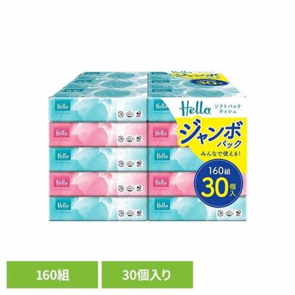 （検索用：ティッシュ ティッシュペーパー 箱なし ソフトパックティッシュ ハローティッシュ ソフトパック ティッシュ大容量 ソフトティッシュ まとめ買い 4582699252213）●翌日優良配送対象商品につきまして●下記の場合は対象外とな...
