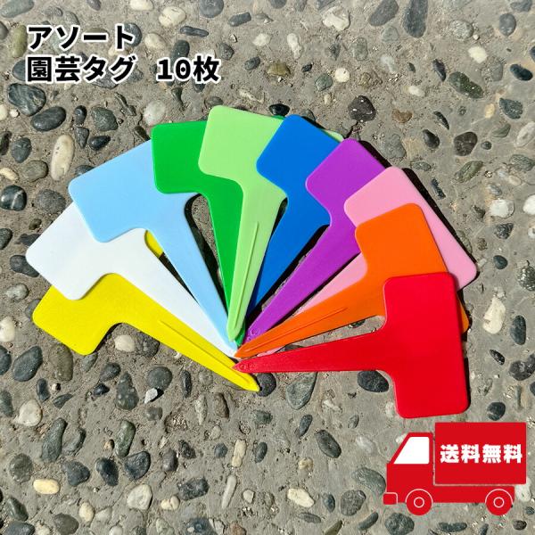 サイズ：縦１０cm,　横６cm、素材：プラスチック、T型観葉植物や多肉植物、鉢植えや盆栽、花や野菜など様々な園芸にお使い頂けます。