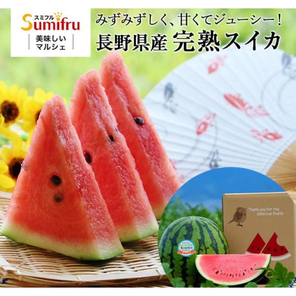【発売日：2026年06月22日】【発送日】7月中旬より順次発送いたします。農家より直接お客様へお届けする商品の為、他の商品と一緒に購入することが出来ません。また産地の天候・収穫状況により発送日が変更になる場合もございますのであらかじめご了...