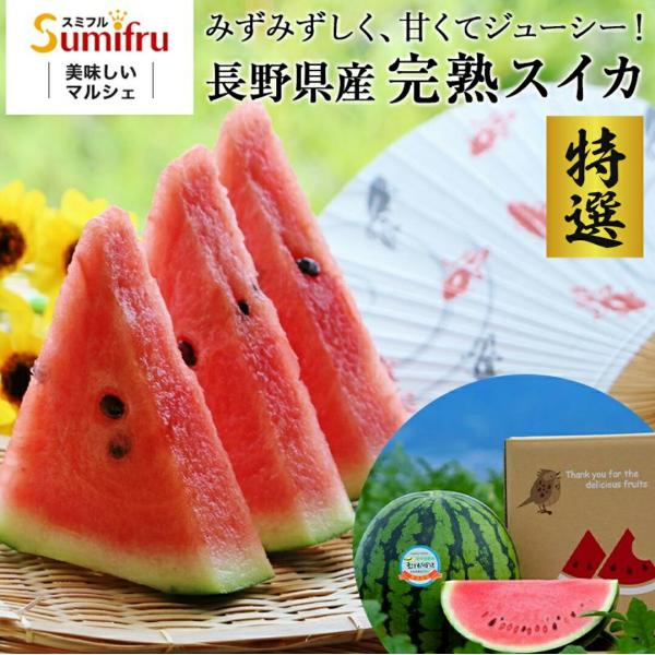 【発売日：2026年06月22日】【発送日】7月中旬より順次発送いたします。農家より直接お客様へお届けする商品の為、他の商品と一緒に購入することが出来ません。また産地の天候・収穫状況により発送日が変更になる場合もございますのであらかじめご了...