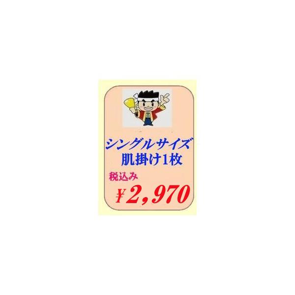 シングル肌掛け1枚・こちらに送られる際にお布団を入れる布団袋を翌日までに発送致します。お手持ちの袋で送られる方は、ご注文時にストアへの要望欄に、布団袋不要とご記入ください。・こちらにお布団を送られる時は、ヤマト運輸でお願い致します。送料着払...