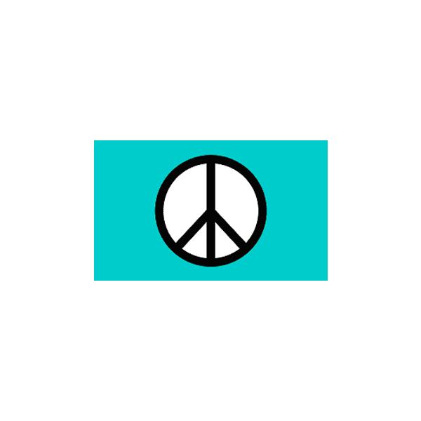 ■商品説明大判サイズの☆アメリカンフラッグ☆・素材：ポリエステル・大きさ：横約150cm×約90cm・フラッグ左側上下にハトメ穴が付いています※ハトメの画像はイメージで実物とカラーが異なる場合があります。■商品状態・新品※輸入品の為、しみ、...