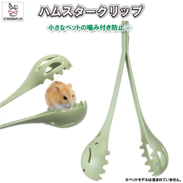 小さなペットの噛み付き防止クランプ：長いハンドルと通気性のある中空の穴のデザインを備えたペットクランプは、ケージを掃除するときに小さなペットや爬虫類をクランプするのに役立ち、ペットに噛まれるのを防ぎます。使いやすい: ペット キャッチャー ...