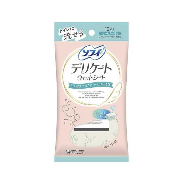 デリケートウェットは、髪の毛の1／1000の超極細繊維配合で、デリケートな肌のニオイまで洗い流したようにサッパリ清潔に保てます。ポーチにすっぽり入るコンパクトサイズです。使い終わった後も、トイレにそのまま流せて後処理も簡単です。