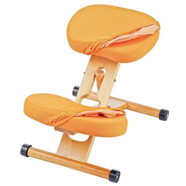 人気のプロポーションチェアに替えカバーが登場！座面と膝の2枚セットで、手洗い洗濯が可能ですので汚れてもすぐ洗って清潔♪カラーはピーチ、ソーダ、ライム、レモン、オレンジの5色をご用意。チェアと同じカラーにしても、イメージチェンジで違うカラーに...