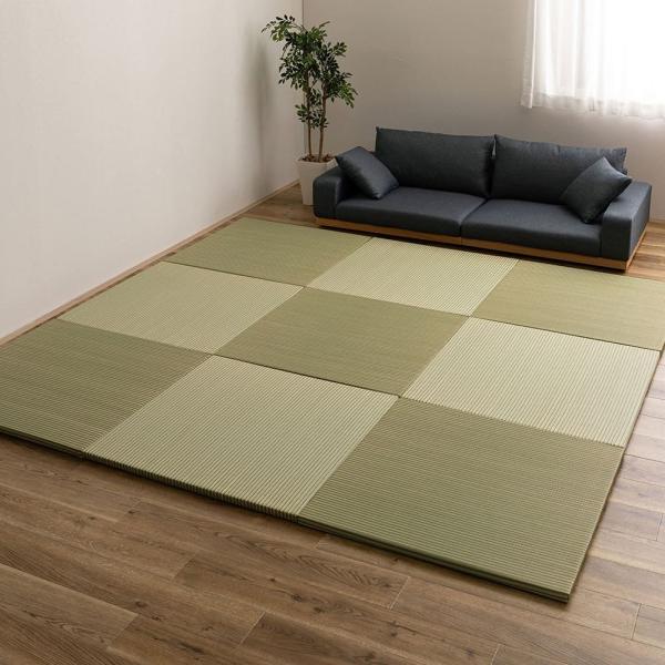 天然い草×樹脂素材。調湿効果や抗菌性など、天然い草の自然の機能や風合いはそのままに、丈夫な樹脂パイプを織り交ぜることで耐久性をアップ！異なる素材のいい性質を残したハイブリッド置き畳。樹脂パイプは傷つきにくく、日焼けなどによる色褪せにつよいた...