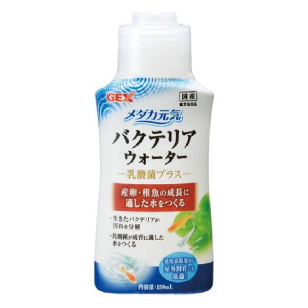 生体内で活動するとされている乳酸菌により、メダカの成育に適した環境を作ります