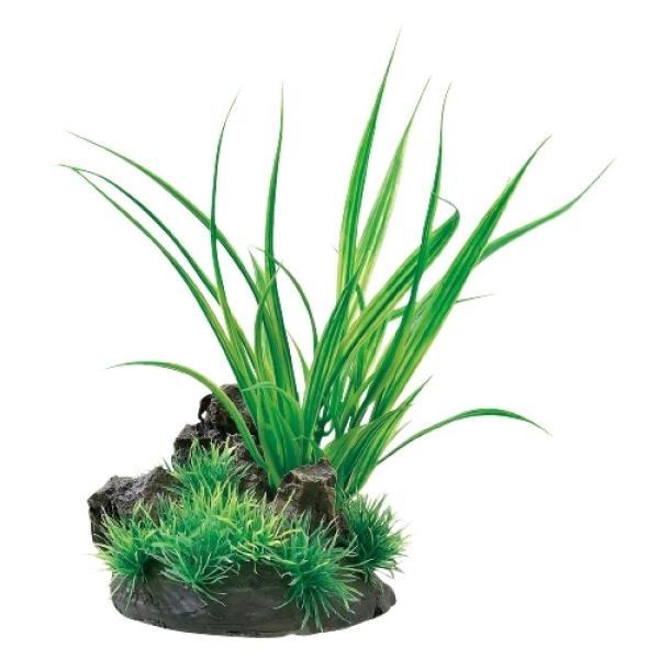 入れるだけでプロの水草レイアウトが完成！簡単に美しい水景を楽しむことができます