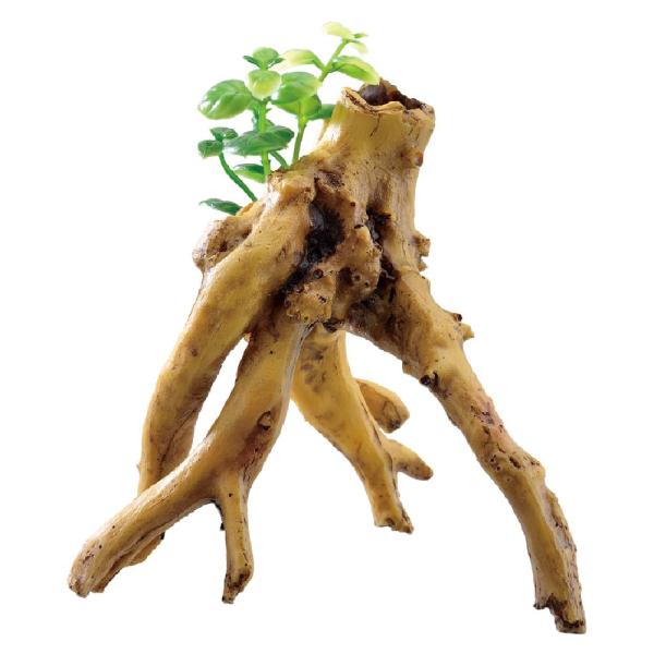 入れるだけでプロの水草レイアウトが完成！ 水草付き流木でレイアウトの幅が広がる