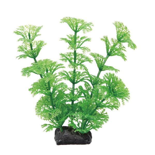 繊細な葉の質感たっぷり 水草レイアウトのポイントになる、色鮮やかな水草