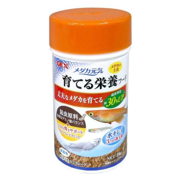 嗜好性が高く、良質なアミノ酸をバランスよく含む昆虫原料を配合した新フレークフード!餌の消化吸収・フンの分解をサポートする3つの善玉菌入り。カルシウム・ビタミンDが丈夫な骨をサポートします。