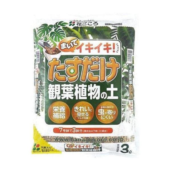 減ってしまった土の上から足すだけ