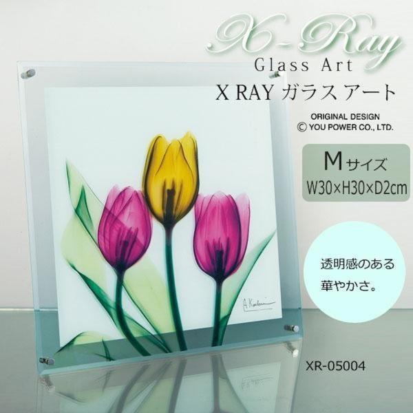 X RAY ガラス アート チューリップ Mサイズ XR-05004 レントゲンモチーフが美しいモダンガラスアート♪ 透き通る花・・・繊細で不思議な質感・・・見ている人を優しく包み込みます。クリアなガラスのプレートに、透明感のあるレントゲン...