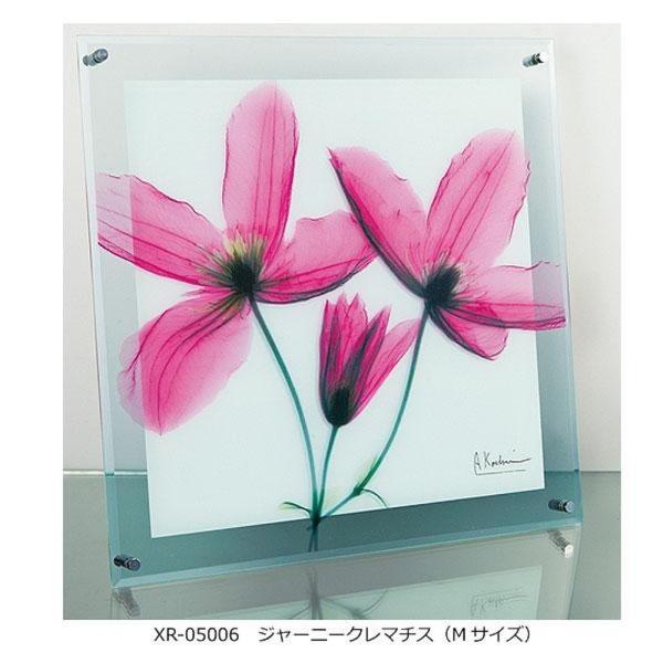 X RAY ガラス アート ジャーニー クレマチス Mサイズ XR-05006 レントゲンモチーフが美しいモダンガラスアート♪ 透き通る花・・・繊細で不思議な質感・・・見ている人を優しく包み込みます。クリアなガラスのプレートに、透明感のある...