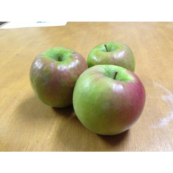 【発売日：2025年11月11日】2025年11月中旬の出荷予定です。りんご：「グラニースミス」内容量： １.5~2kgさくさくした食感でジューシーで酸味があり、生で食べるのにも調理用にも適しています。生の糖度は６前後ですが、加熱することで...