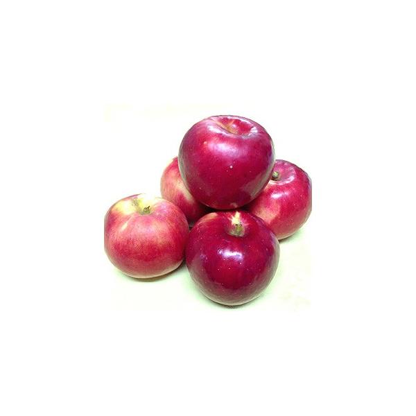 【発売日：2026年10月08日】りんご：「紅玉」内容量：約 5kg甘味と酸味が特徴の小ぶりなリンゴです。酸味が強く、果肉もしっかりしているため煮崩れしくく、各種スイーツ・料理に利用されています。