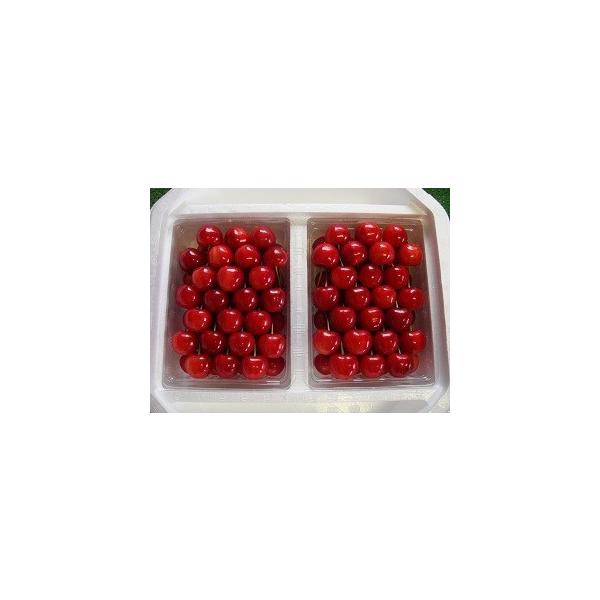 【発売日：2026年06月25日】さくらんぼ「紅秀峰」の２Lサイズ、350ｇ×2パックです。ご贈答用として化粧箱にお詰めしてお送りいたします。2026年は7月上旬頃からの発送開始となります。※発送日はこれからの天候によって前後することがあり...