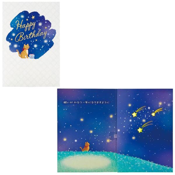 カードを開くと、「見上げてごらん夜の星を」のメロディーが流れ、夜空に流れ星が光ります（歌声は入っていません）。ネコが夜空を見上げるロマンチックなカードです。●サイズ：約幅13.5×奥行0.5×高さ19.5cm●曲目：♪見上げてごらん夜の星を...