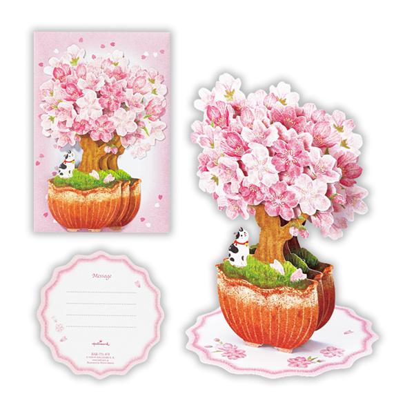レーザーカットの桜の盆栽にラメ加工がきれいな春らしい人気の盆栽カードです。付属のミニカードは台紙にもなります。多目的にお使いいただけます。●カード：163×115mm●封筒：176×120mm●ラメ加工●ダイカット●ミニカード付き●立てて飾れます