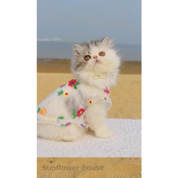 ペット服 ネコ服 花柄 カラフル お散歩 涼しい レース おでかけ イベント 春夏 薄手 カジュアル かわいい 着心地 快適 軽量 人気 上品 小型犬 小旅行 旅生産国：中国素　材：ポリエステル他サイズ:適正体重kg ＊目安として参考にご検...