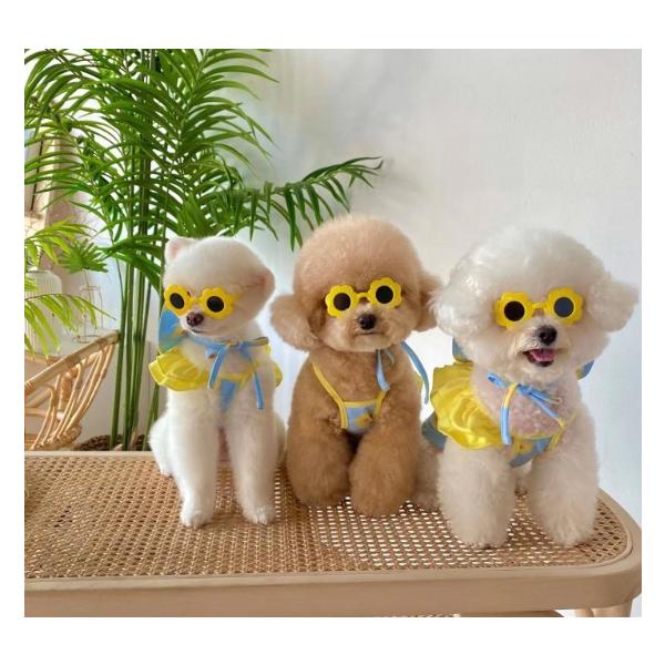 子犬 水着 ペット 花柄 小型犬 ペットスイムウエア スライドショルダー型 サスペンダービキニ型 帽子 かわいい プール 旅行 初夏 海 おしゃれ生産国：中国素　材：ポリエステル、ポリウレタン他サイズ：S/ 胸囲33cm 着丈17cmM/ ...