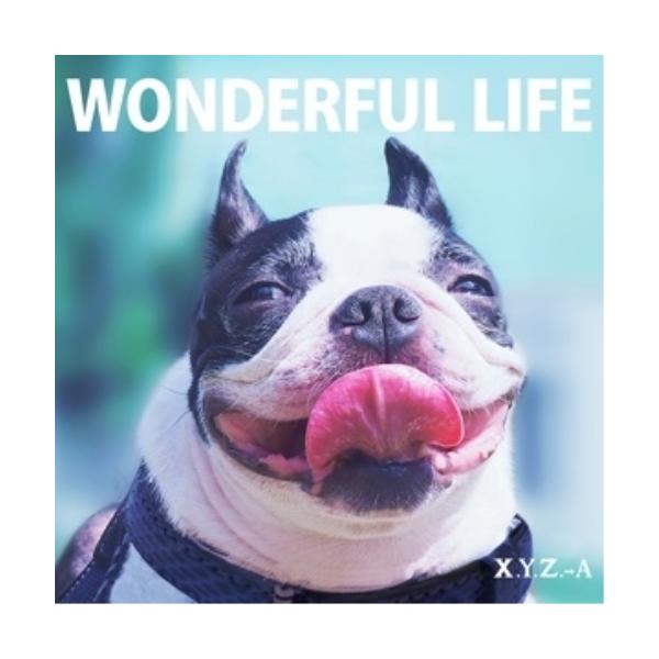 【発売日：2020年03月25日】X.Y.Z.→A (エックスワイズィートゥエー えっくすわいずぃーとぅえー)2020年3月25日 発売ラウドネス、筋肉少女帯、爆風スランプのメンバーが集結したスーパーバンド、X.Y.Z.→A。前作より約7年...