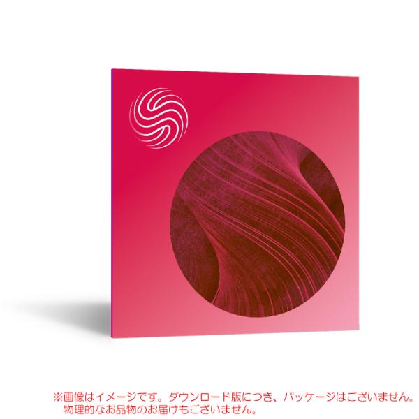 【即納OK！】弊社規定に準じメール納品致します。