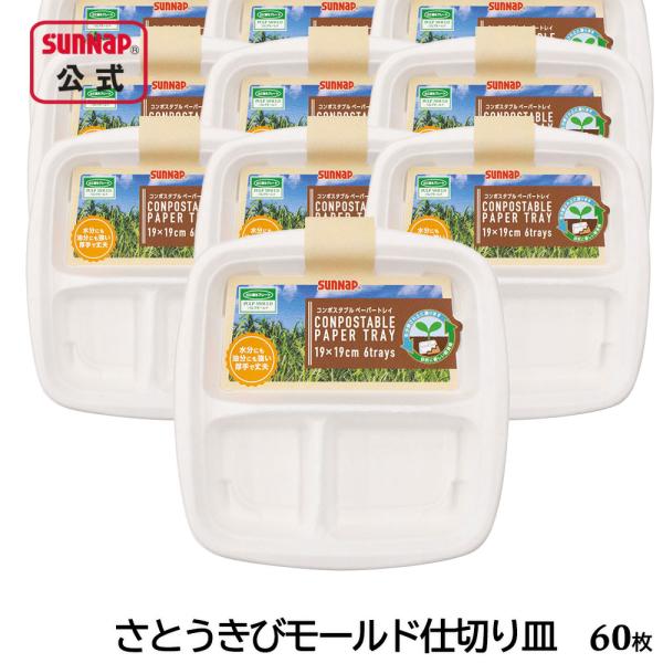品　番：PT-19CPMサイズ：19cm×19cml入　数：60枚入材　質：さとうきびパルプ100%（耐水・耐油加工）生産国：タイ