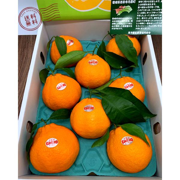 ●産地名愛媛県●品種名樹上完熟  葉付きデコポン●内容量約3kg / 約8〜12玉 ●商品説明甘くなるまで、樹上にてゆっくり熟しました。果汁たっぷりで、酸味と甘みのバランスが良く、口当たりがとてもまろやかです！