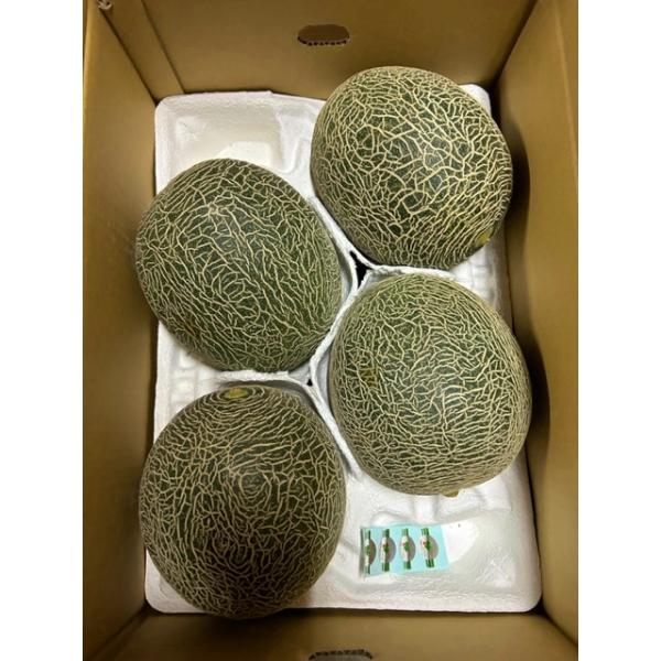 ●産地名熊本県●品種名肥後グリーンメロン●内容量約8kg / 約4〜6玉●商品説明皮が薄くて、種も少なく果肉が厚い！青肉系のメロンの中では、抜群に甘いです！肉厚で皮が薄いので、皮ギリギリまで美味しくお召し上がりいただけます。メロンのお尻の部...