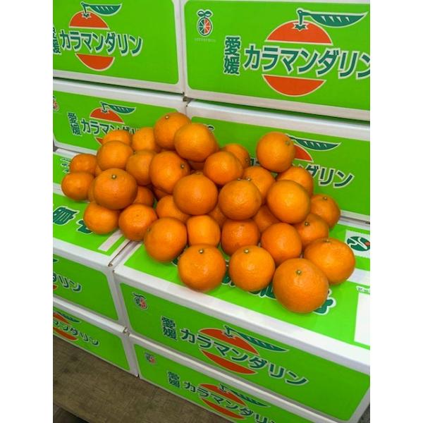 ●産地名愛媛県中島●品種名カラマンダリン●内容量約5kg / 2L〜M / 青秀●商品説明みかんの聖地、愛媛県中島産のカラマンダリン。柑橘生産量全国１位の愛媛県のなかでも、濃厚な甘み・コク・程よい酸味の三拍子が揃った中島みかん。試食時の糖度...