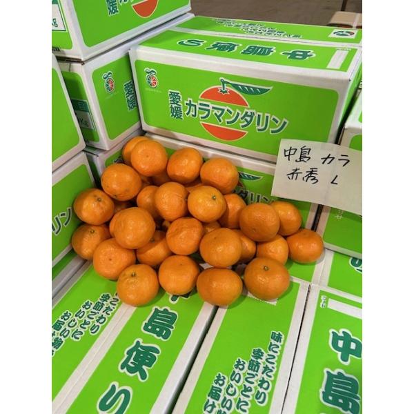 ●産地名愛媛県中島●品種名カラマンダリン●内容量約5kg / 赤秀 / 2L〜Mサイズ●商品説明みかんの聖地、愛媛県中島産のカラマンダリン。柑橘生産量全国１位の愛媛県のなかでも、濃厚な甘み・コク・程よい酸味の三拍子が揃った中島みかん。果汁が...
