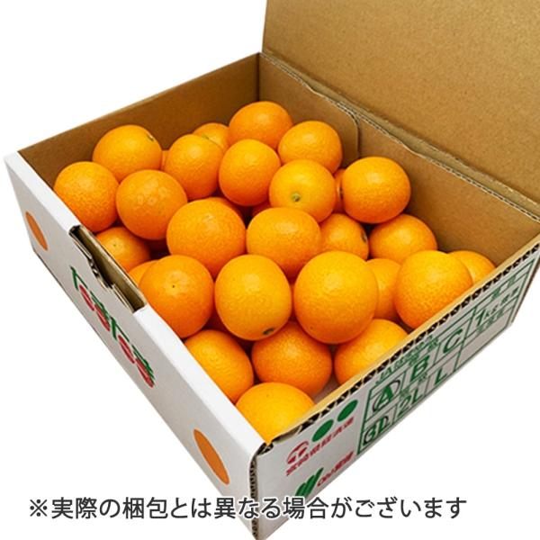 ●産地名宮崎県●品種名きんかんたまたま●内容量約1kg / A2L〜AL●発送時期1月15日以降の発送になります。●商品説明大きくて甘い！完熟きんかん「たまたま」。手作業で傷のあるものや形のよくないものを選別し、選ばれたエリートだけが温室で...