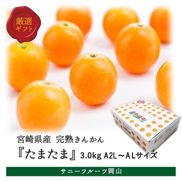 ●産地名宮崎県●品種名きんかんたまたま●内容量約3kg / A2L〜AL●発送時期1月15日以降の発送になります。●商品説明大きくて甘い！完熟きんかん「たまたま」。手作業で傷のあるものや形のよくないものを選別し、選ばれたエリートだけが温室で...