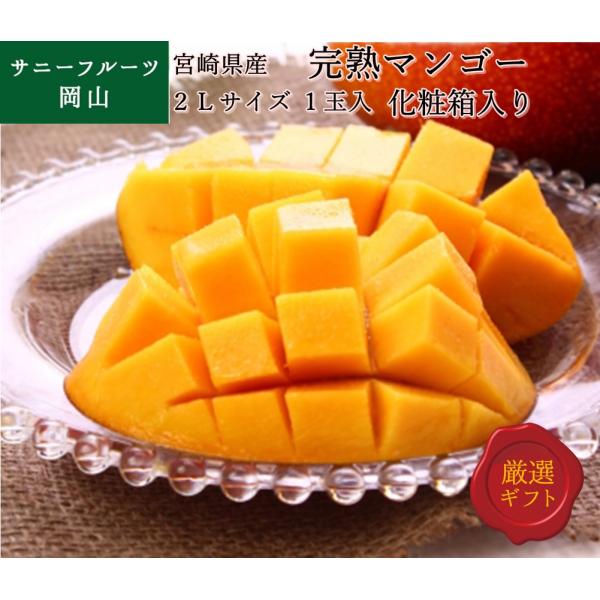 ●産地名宮崎県●品種名完熟マンゴー●内容量2Lサイズ / 1玉●商品説明宮崎の代表的なフルーツ、完熟マンゴー。見ための美しさもさることながら、女性にとって嬉しい栄養素がたっぷり詰まったトロピカルフルーツです。一度食べたらやみつきになる濃厚な...