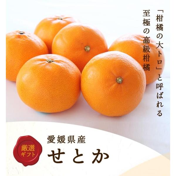●産地名愛媛県産●品種名せとか●内容量約3kg / 3L〜2L / 10〜12玉 / 赤秀●商品説明柑橘のいいとこどりで誕生した「せとか」柑橘の大トロと言われるだけあり、みずみずしい香りはもちろん、とろけるような食感と濃厚ジューシーな味わい...