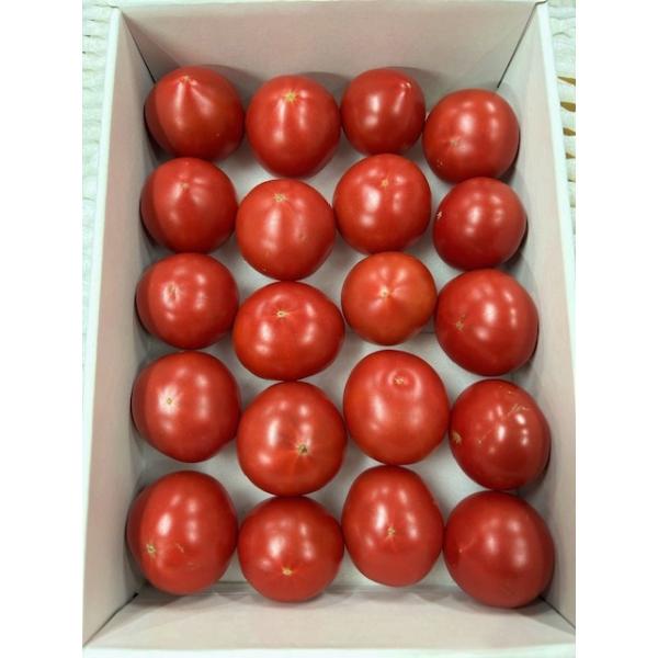 ●産地名岡山県産●品種名高糖度トマト　●内容量約800ｇ●商品説明岡山県産  高糖度トマト  約800ｇうまみがぎゅっと凝縮した味わい深い高糖度トマトです。試食時の糖度は9.3度です！