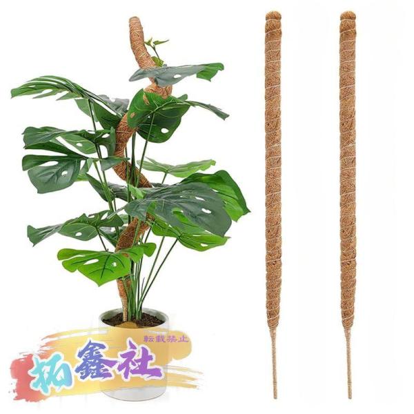 2本入り ココスティック 園芸支柱 自由に曲げる 観葉植物モンステラ 支柱