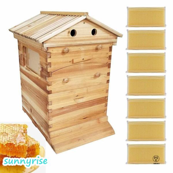 蜜蜂巣箱 ミツバチ巣箱 養蜂箱 巣箱 蜂箱 フローハイブ養蜂セット 蜜蜂飼育箱 蜂の巣 ミツバチ飼育箱 ミツバチ養殖 ミツバチの採蜜 巣礎 巣脾 自動ハチミツ採取
