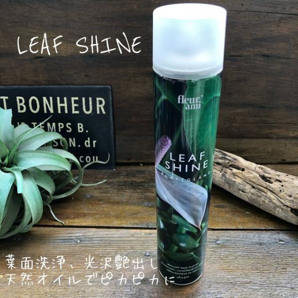 ご覧頂きありがとうございます。とてもおすすめの『LEAF SHINE』その名の通り植物たちが輝き蘇ります。世界が認めたNo.1ブランド 【フルールアミ リーフシャイン】天然オイルが主成分の葉の艶だし剤です。　葉にスプレーするだけで天然オイル...