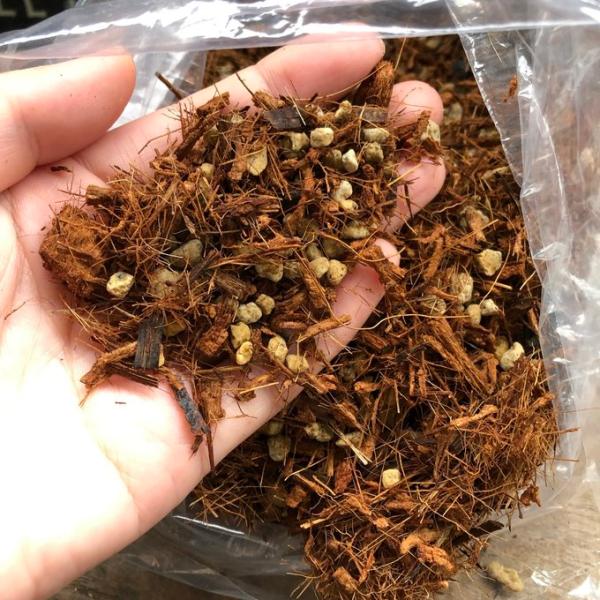 《商品内容》今話題で、職場を大きく育てたい人にぴったりの土販売いたします！『ねこチップSSサイズ』の小分けタイプです。（1袋２リットル入り）根が細い植物などに重宝します。数量変更でたくさんご購入も可能です。ねこチップ(SS)：旧Baby・材...