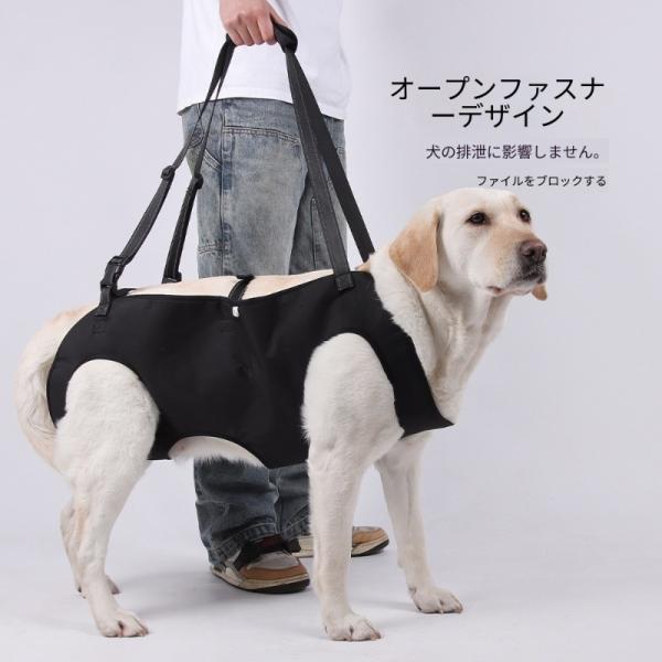 【素材】ナイロン   クッション素材【耐荷重】最大約 50kg【特徴】肩ベルト長さ調節可能・洗濯可足腰の弱ったシニア犬や術後のワンちゃんの歩行をサポートする補助ハーネス。階段の上り下りや車の乗り降り、通院時の移動などに大活躍。腹部を優しく支...