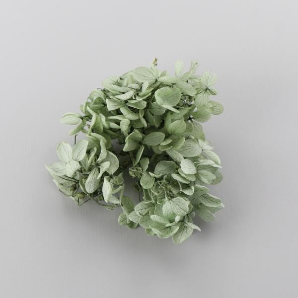 アジサイは、花びらを１枚ずつカットしてハーバリウムボールペンの花材として使えます。また、枝ごとまとめてハーバリウム制作時の空間埋め、色付け、アクセント用としても使えます。少量をクリアケースに入れていますので、小出しで使いたい場合に便利で、保...